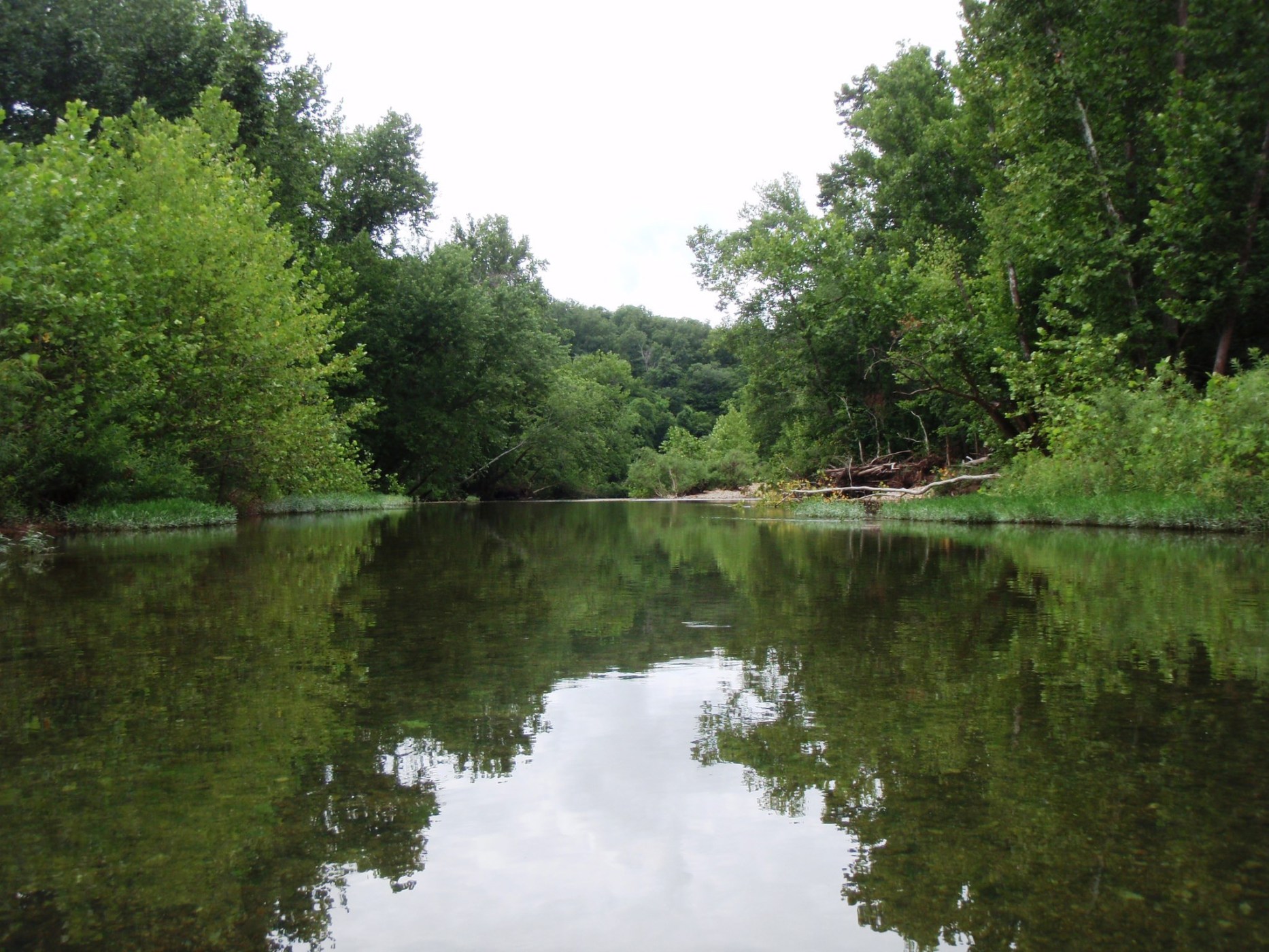 Old Cove Canoe & Kayak | Meramec River Float Trips near St. Louis